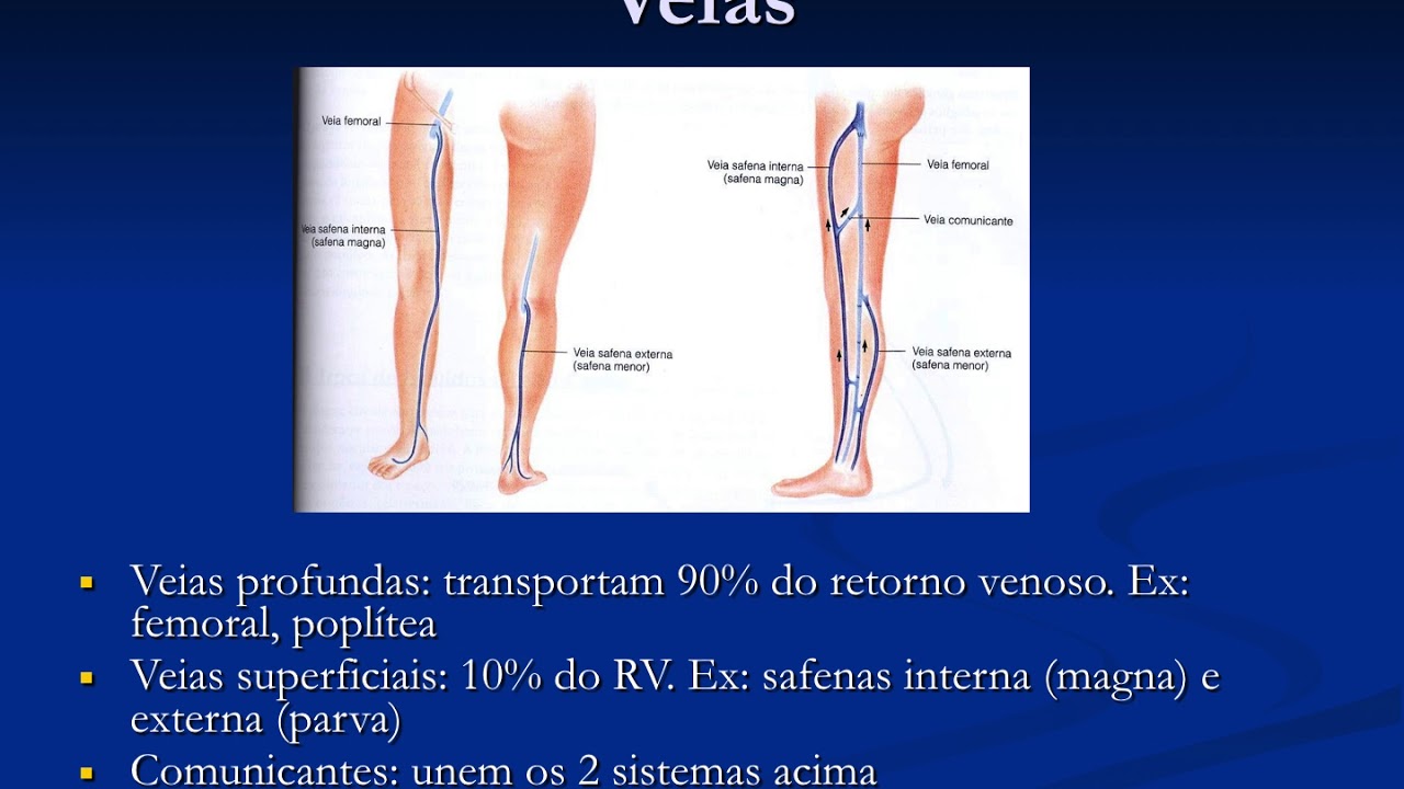 Propedêutica Vascular Periférica Anatomia e Fisiologia - YouTube