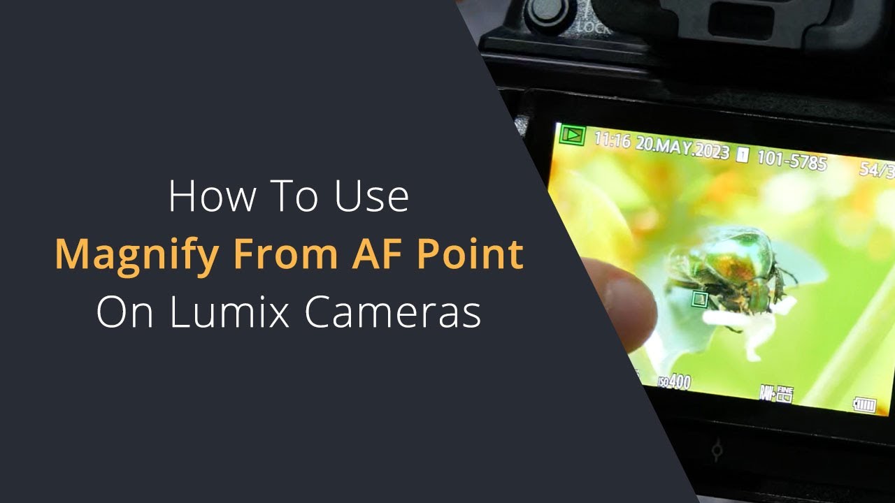 Using Magnify From AF Point On Lumix Cameras | How To Magnify Images ...