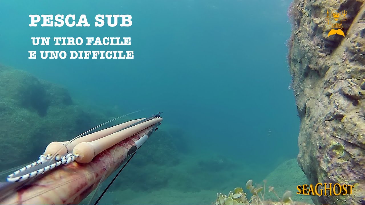 Pesca Sub: Un tiro facile e uno difficile - Pesca subacquea 2023 - YouTube