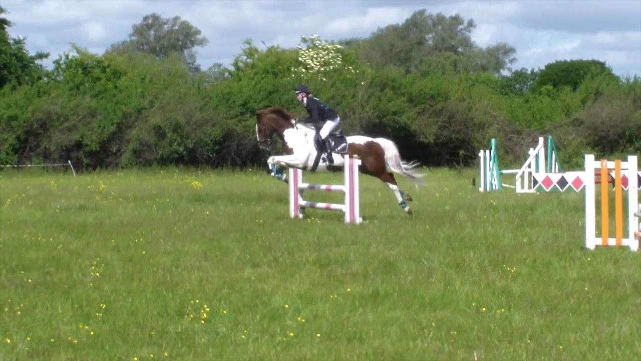 Tommy SJ @ Bookham Riding Club(06.06.15) - YouTube