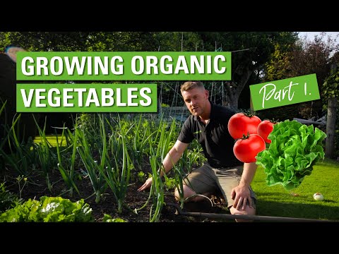 How Are Organic Fruits And Vegetables Grown