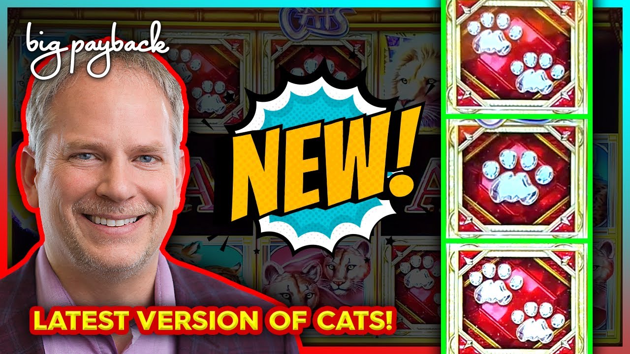 HOT NEW SLOT! Split 'N' Win Link Cats! - YouTube