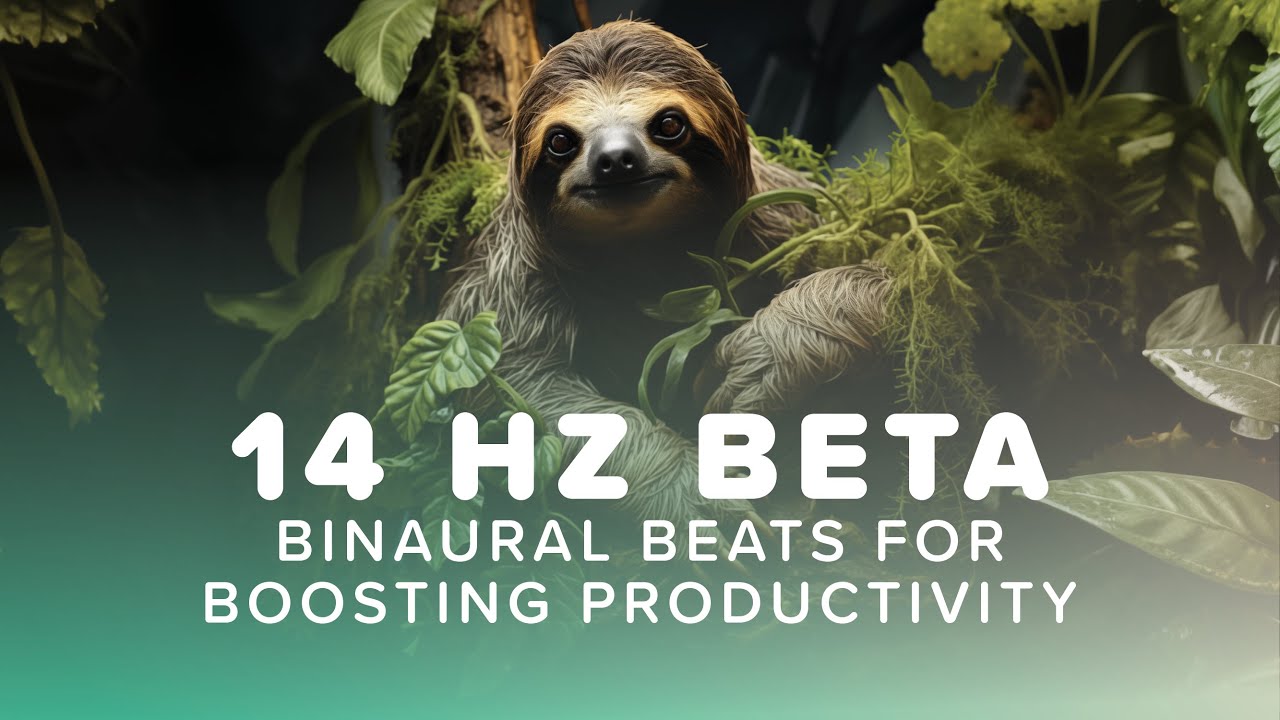 Boost Your Productivity | 14 Hz Beta | Sloth Spirit Animal - YouTube