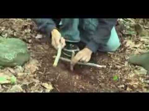 Trapping 101: Figure 4 Deadfall - YouTube