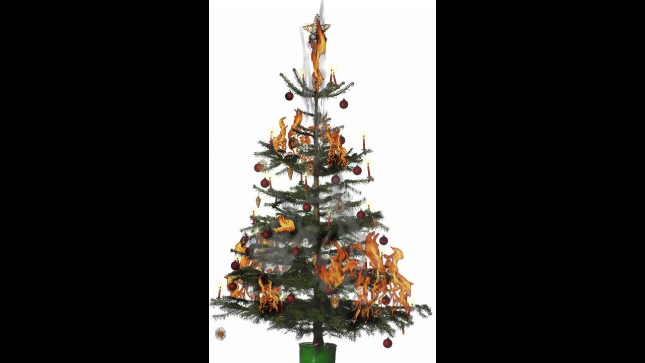 Christmas Tree Fire Demo, Dangers Of Xmas Tree Burning - YouTube