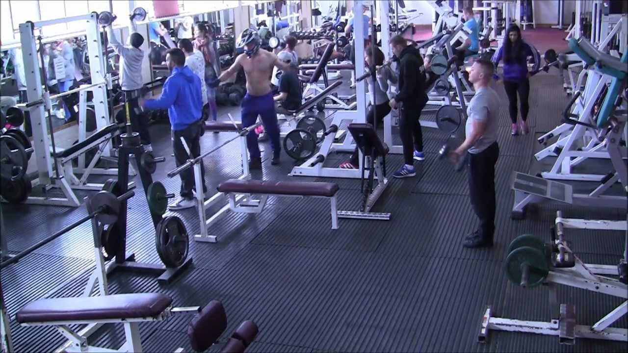 Harlem Shake at Zeus Gym Hastings - YouTube