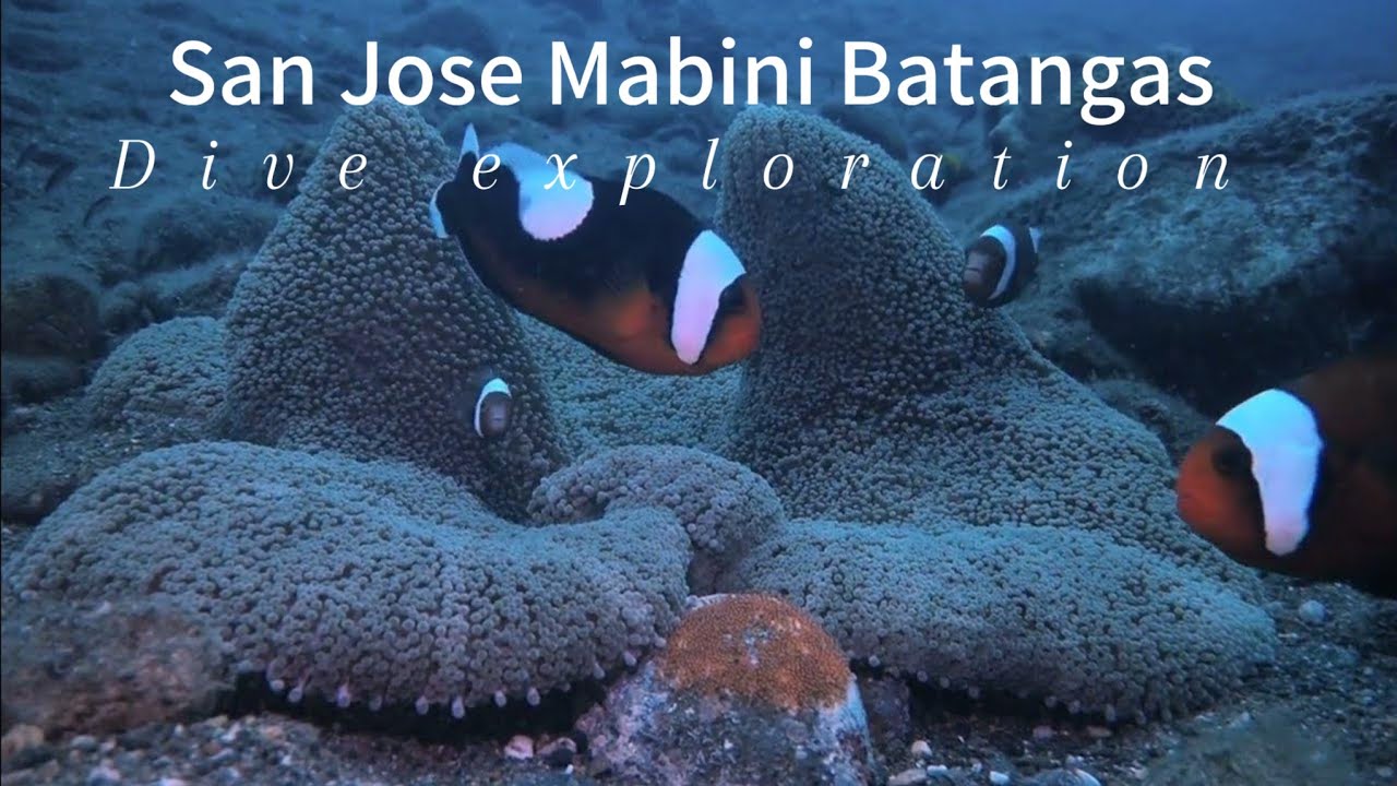 Dagat ng San Jose Mabini Batangas ano ang meron sa ilalim nito. - YouTube