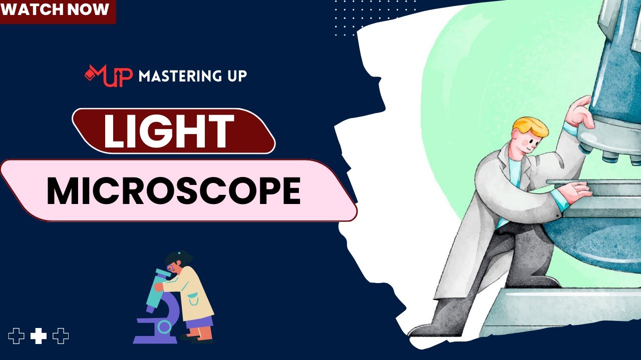 A Demonstration of a Light Microscope in Action | #3 - YouTube