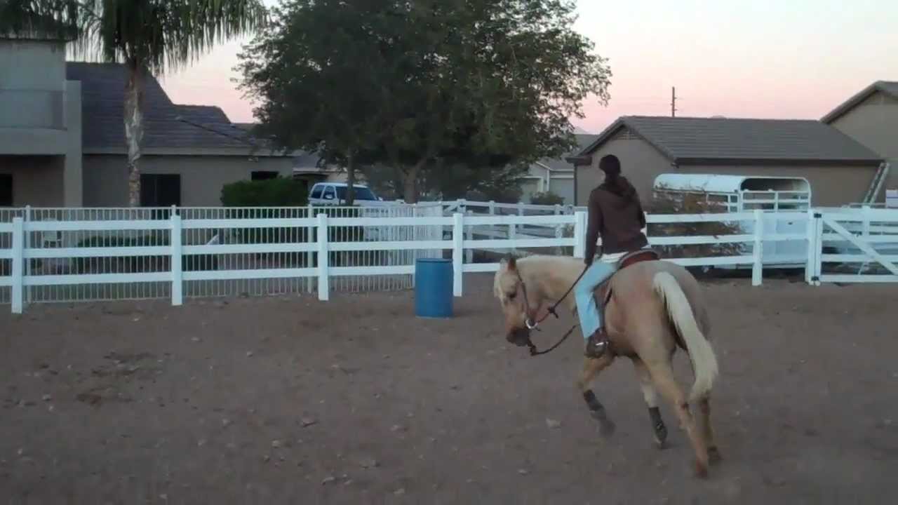 Serpentine Exercise Part 1 - YouTube