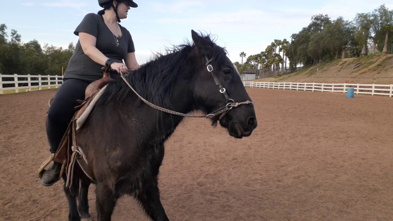 Riding cash 2/28/20 Part 2 - YouTube