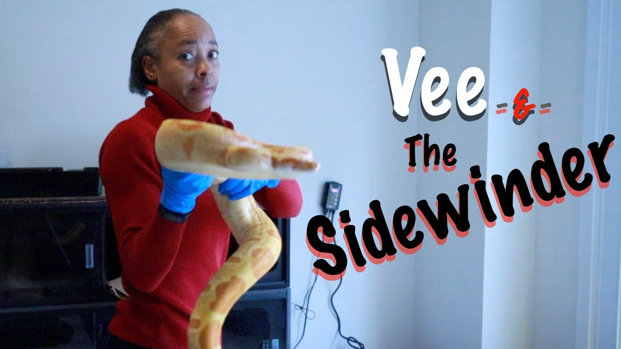 Vee & the Sidewinder - YouTube