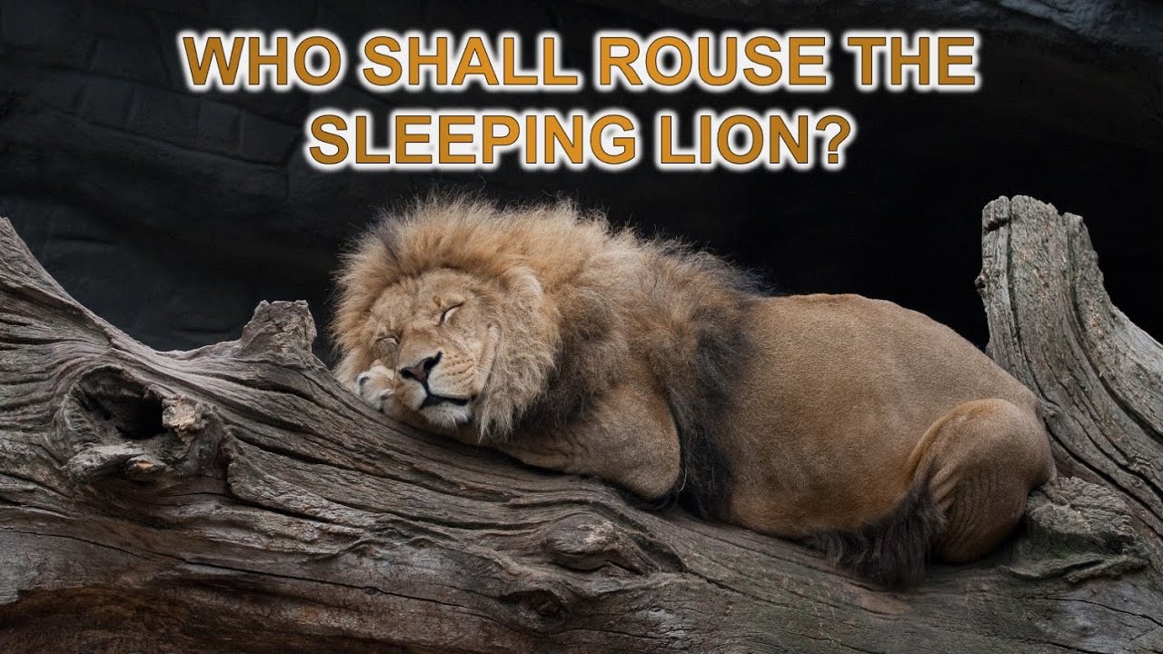Who Shall Rouse the Sleeping Lion! - YouTube