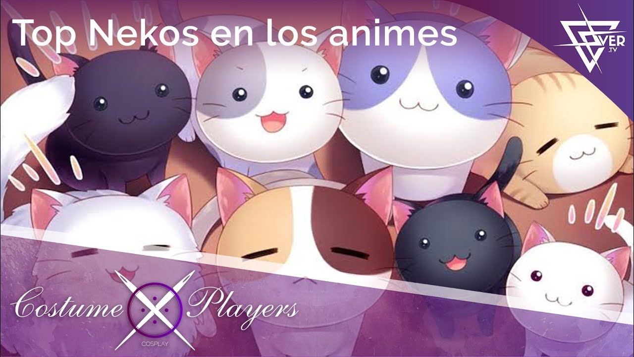 Top Nekos en el anime| Gatos en los animes | XOver TV - YouTube