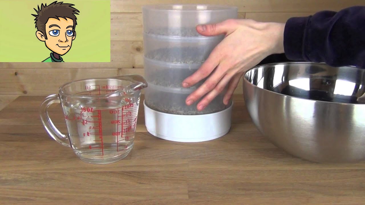 Victorio 4-Tray Kitchen Seed Sprouter VKP1014 Demonstration in the Raw ...