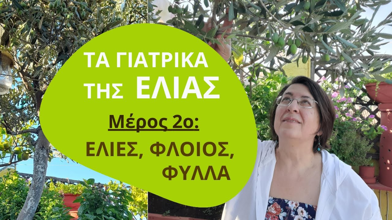 ΤΑ ΓΙΑΤΡΙΚΑ ΤΗΣ ΕΛΙΑΣ - ΕΛΙΕΣ, ΦΛΟΙΟΣ, ΦΥΛΛΑ - YouTube