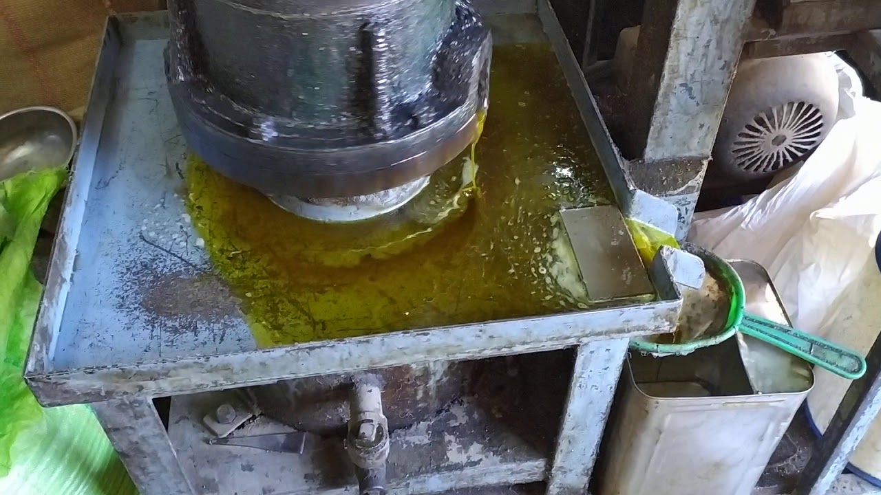 Desi ghani Sarso Tail - YouTube