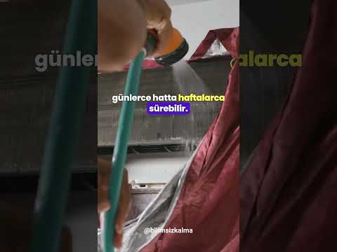 Isı Kubbeleri Orman Yangınlarına Ortam Hazırlıyor! #iklimdeğişikliği #bilim #çevre 🔥🌲