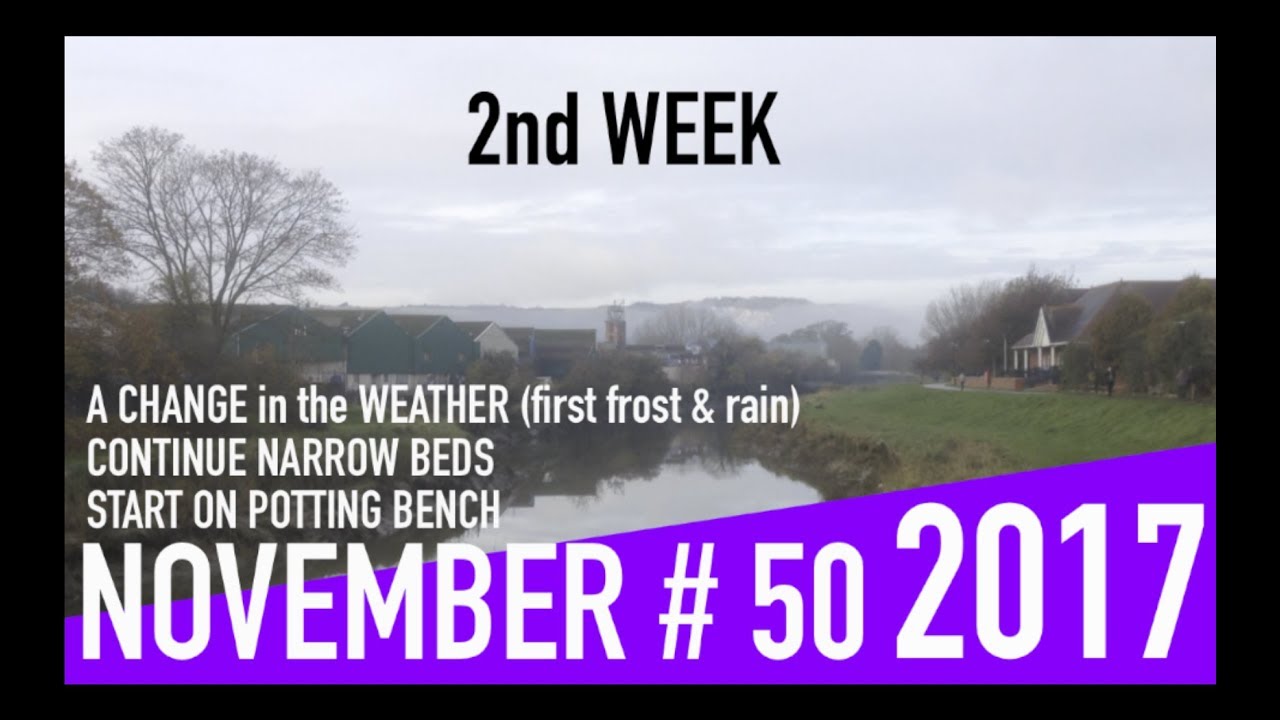 2nd Week Nov 2017 - YouTube