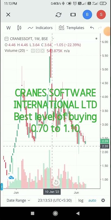 CRANES SOFTWARE INTERNATIONAL LTD best level of buying 0.70 to 1.10 ...
