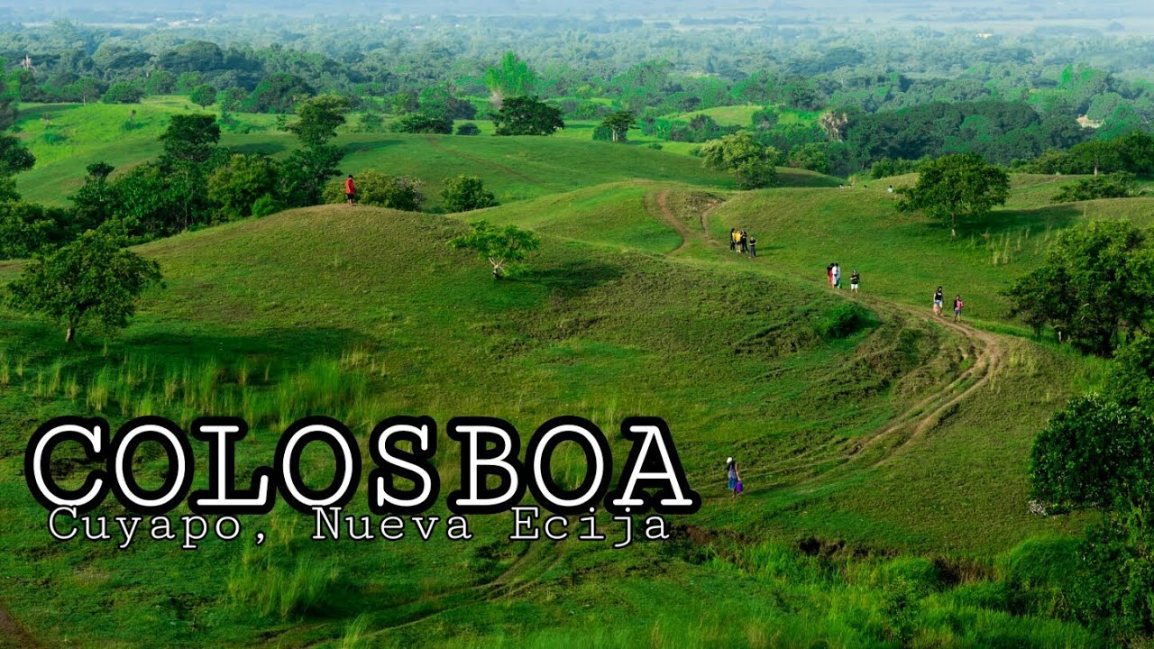 COLOSBOA, CUYAPO, NUEVA ECIJA [New Zealand of Central Luzon] Rose ...