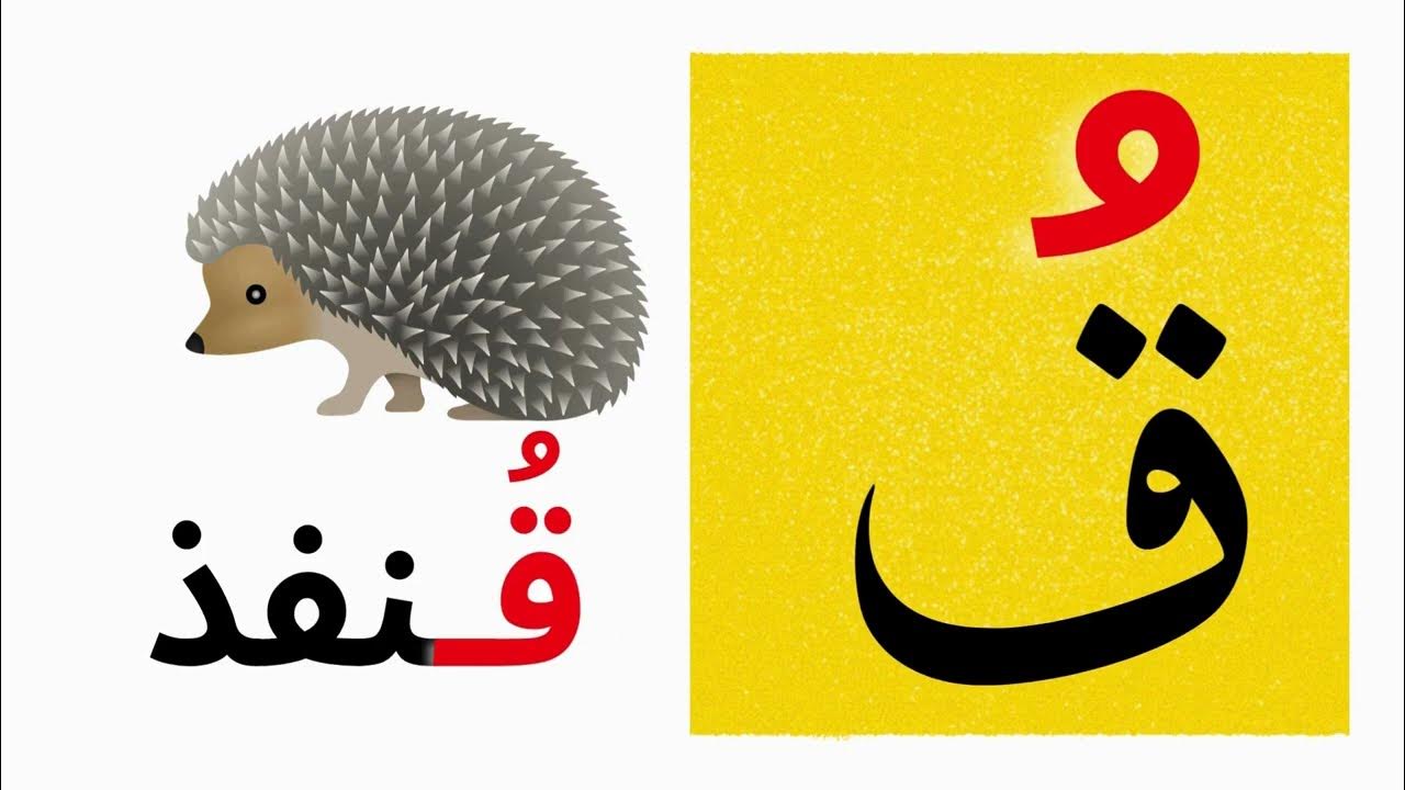 حرف القاف سلسلة الحروف الأبجدية العربية مع الحركات القصيرة والطويلة المقاطع Arabic Alphabet
