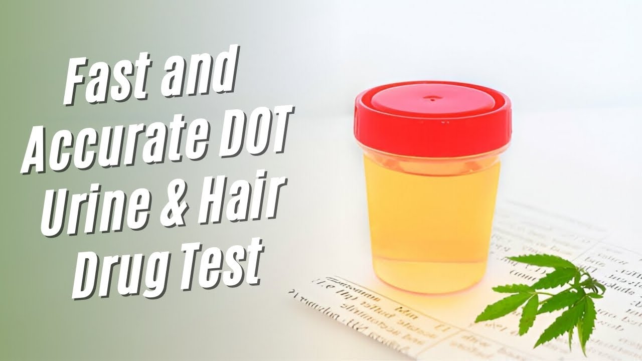 DOT Urine & Hair Drug Test by goMDnow - YouTube