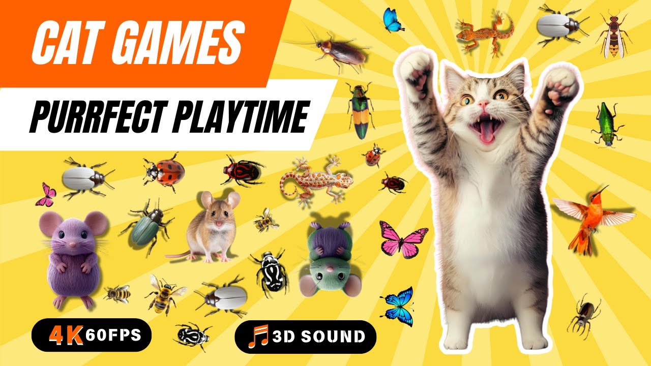 Cat Games 😸Ultimate Game Mice & Bugs Compilation (10 in 1) | Best Video ...