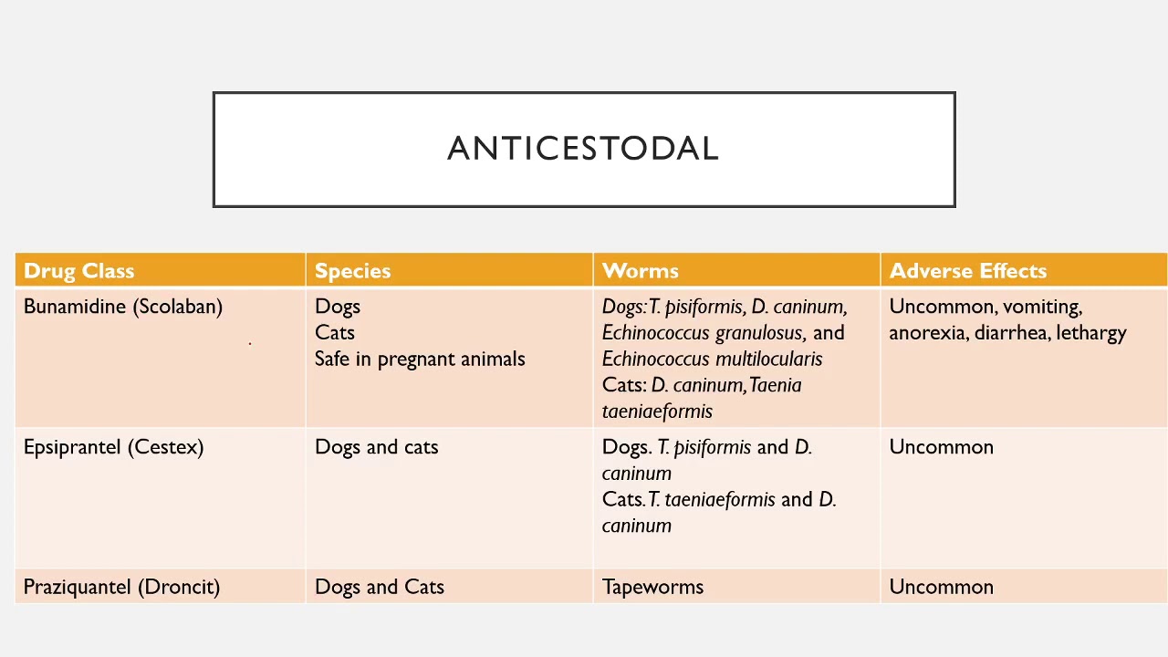 Applied Pharmacology Chapter 13 Antiparasitics - YouTube