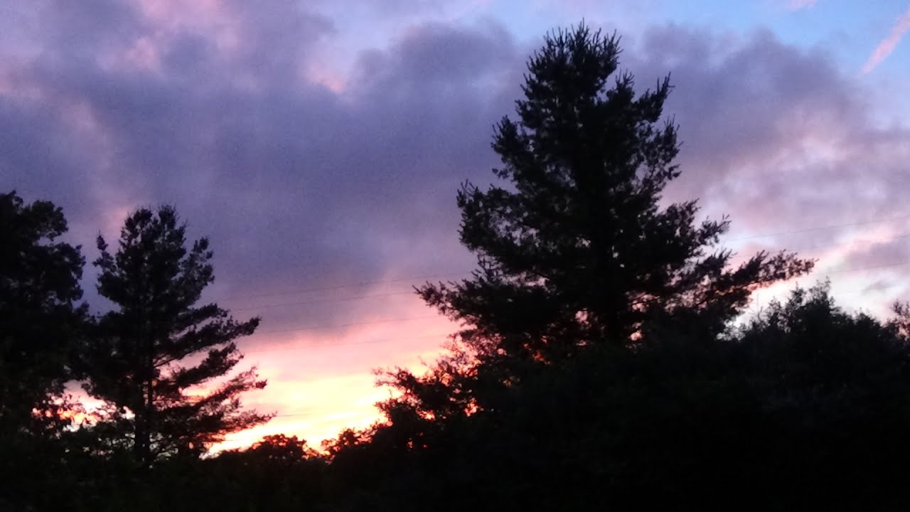 FYI: Holidays and Observances, Easter Symbols & Traditions, Easter ...