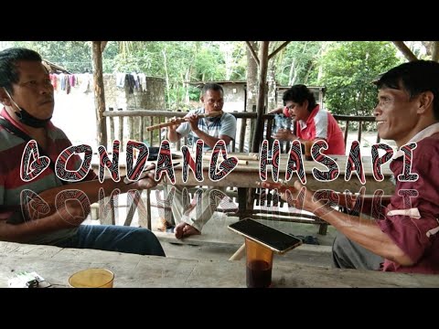 Gondang HASAPI uning - uningan batak toba - YouTube