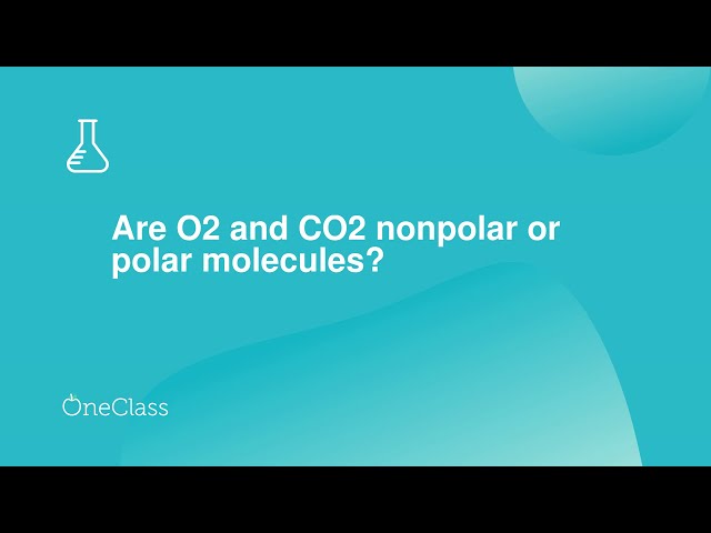 Is Co2 Polar Or Nonpolar Youtube Polar Molecules Photos, Images