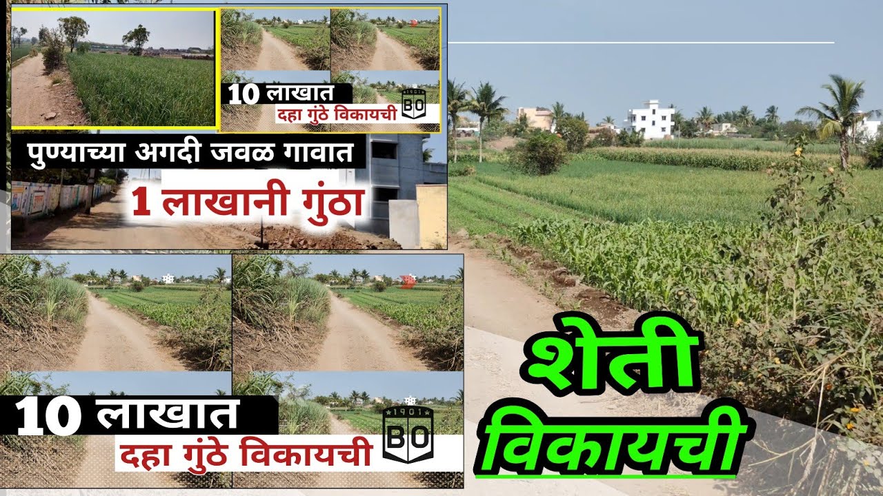 पुण्याच्या गावाजवळ शेती | Farm house land near pune | farm plots near ...