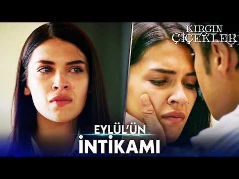 Eylül, Kemal'den Hırsını Aldı - Kırgın Çiçekler Kolaj