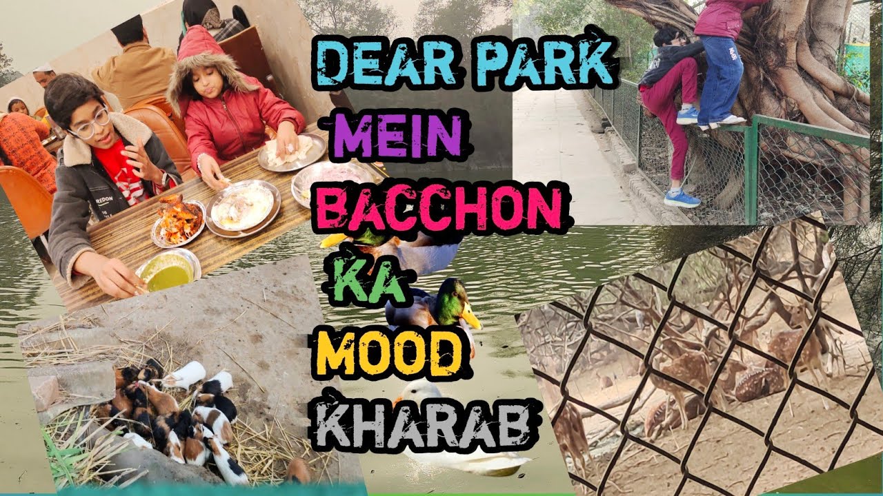 Dear park mein bacchon ka mood kharab 🤣🤓 #mursheedofficial23 #trending #trending1 - YouTube