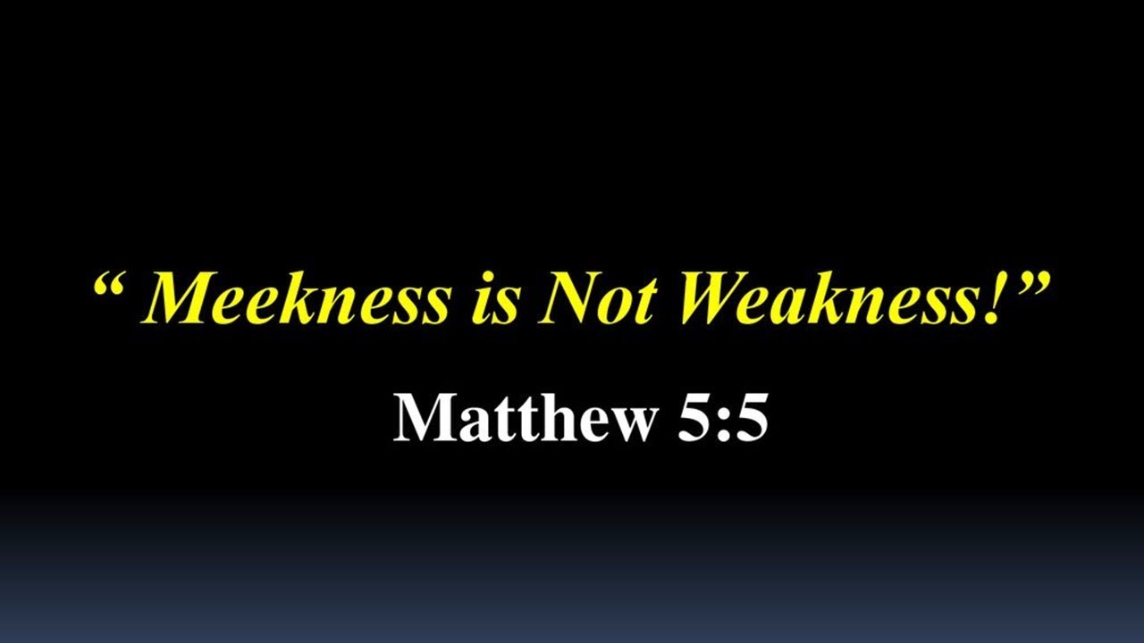 Meekness Isn't Weakness: Video Devotional By Dr. Rick Mandl - YouTube