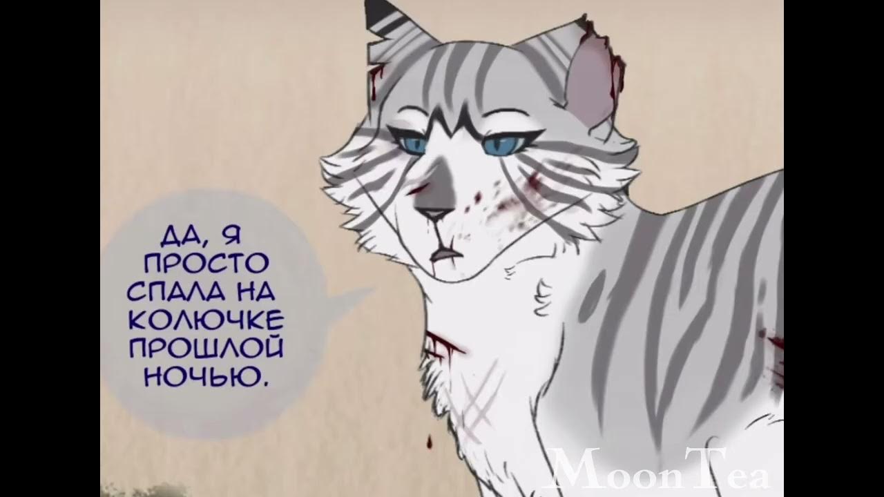 КОТЫ-ВОИТЕЛИ ОЗВУЧКА ПРИКОЛОВ И КОМИКСОВ(#1)👇 - YouTube