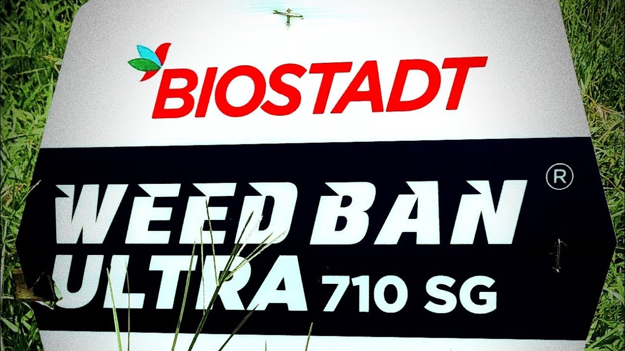 weedban ultra / ang pangmalakasang pandamo sa ngaun - YouTube