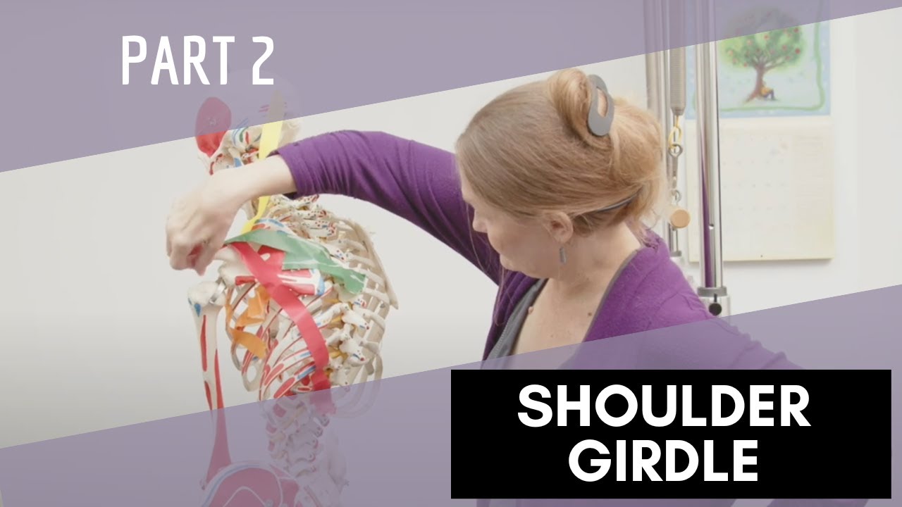 #1 Reason Your Shoulder Hurts! Strong Healthy Shoulders Part 2: Micro ...