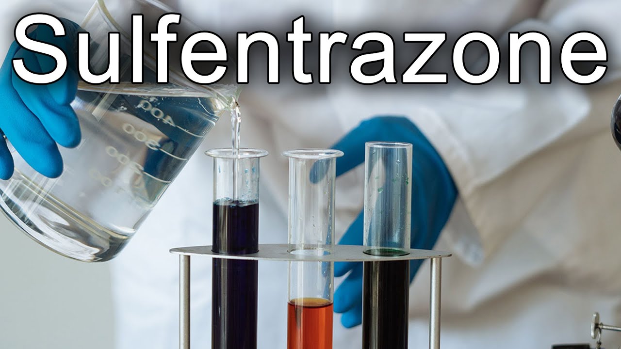 Todo sobre Sulfentrazone: Dosis, carencias y aplicaciones en cultivos 🚜 ...