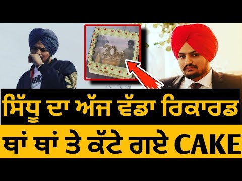 Sidhu Moose Wala • Today Big Celebration By Fans With Cakes 🔥⛳ But Why ...