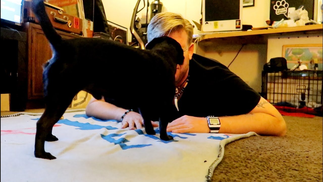 What's Up Jah?! - YouTube