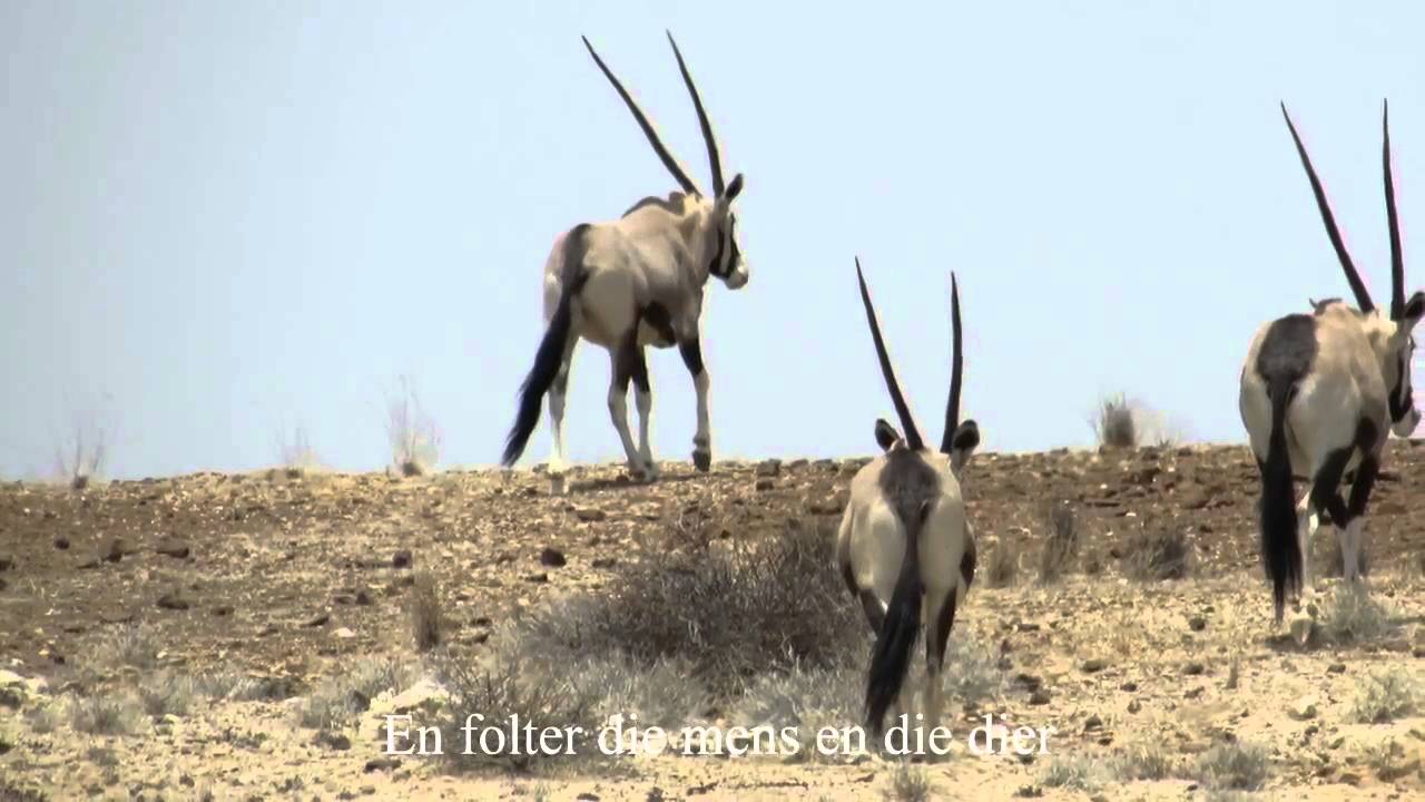 Die Namib Woestyn - YouTube