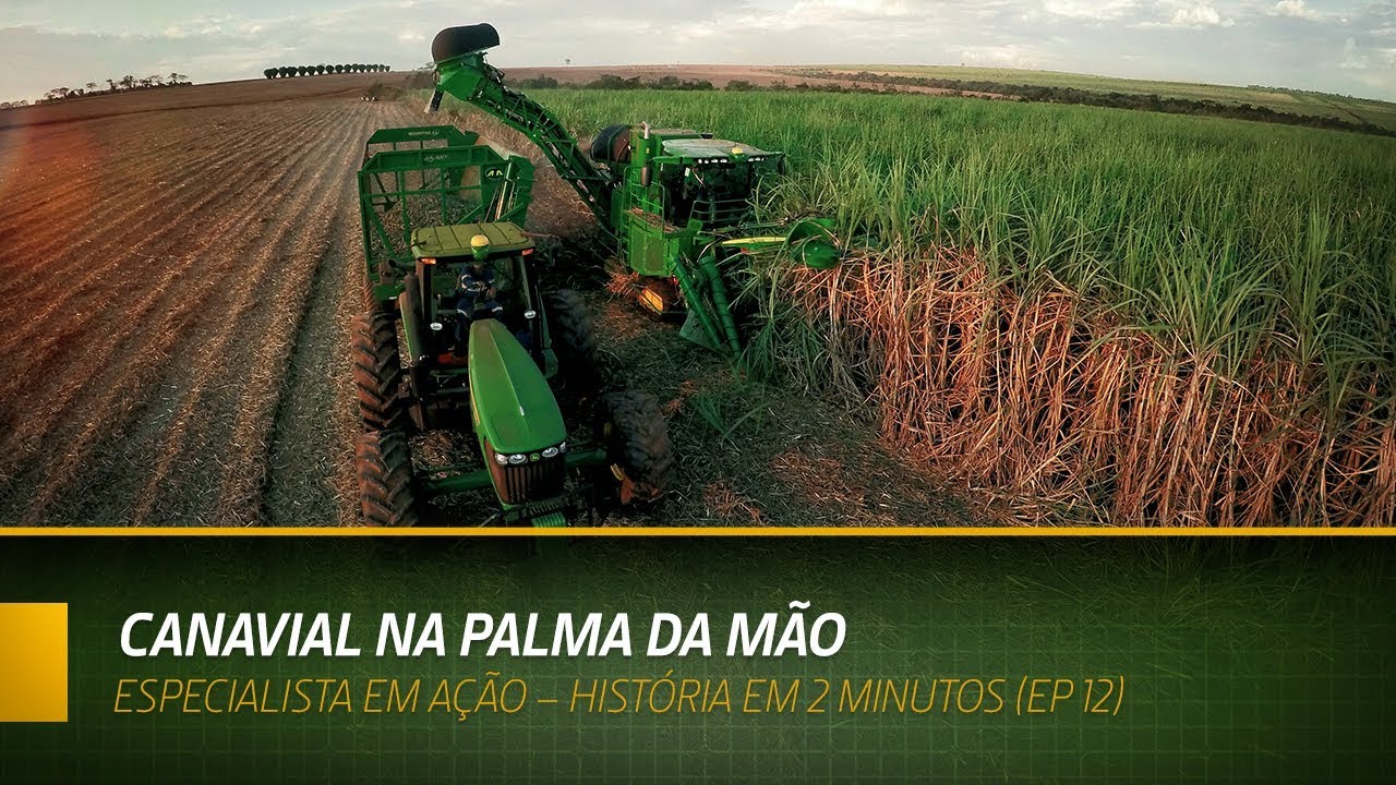 Canavial na Palma da Mão | Especialista em Ação – História em 2 Minutos ...