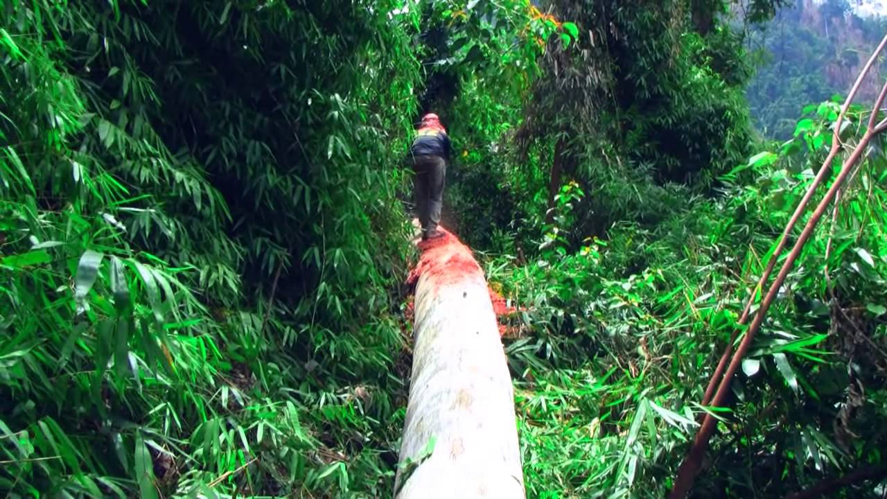 Hmoob toj siab lub neej tshiab 2015 2016 - YouTube