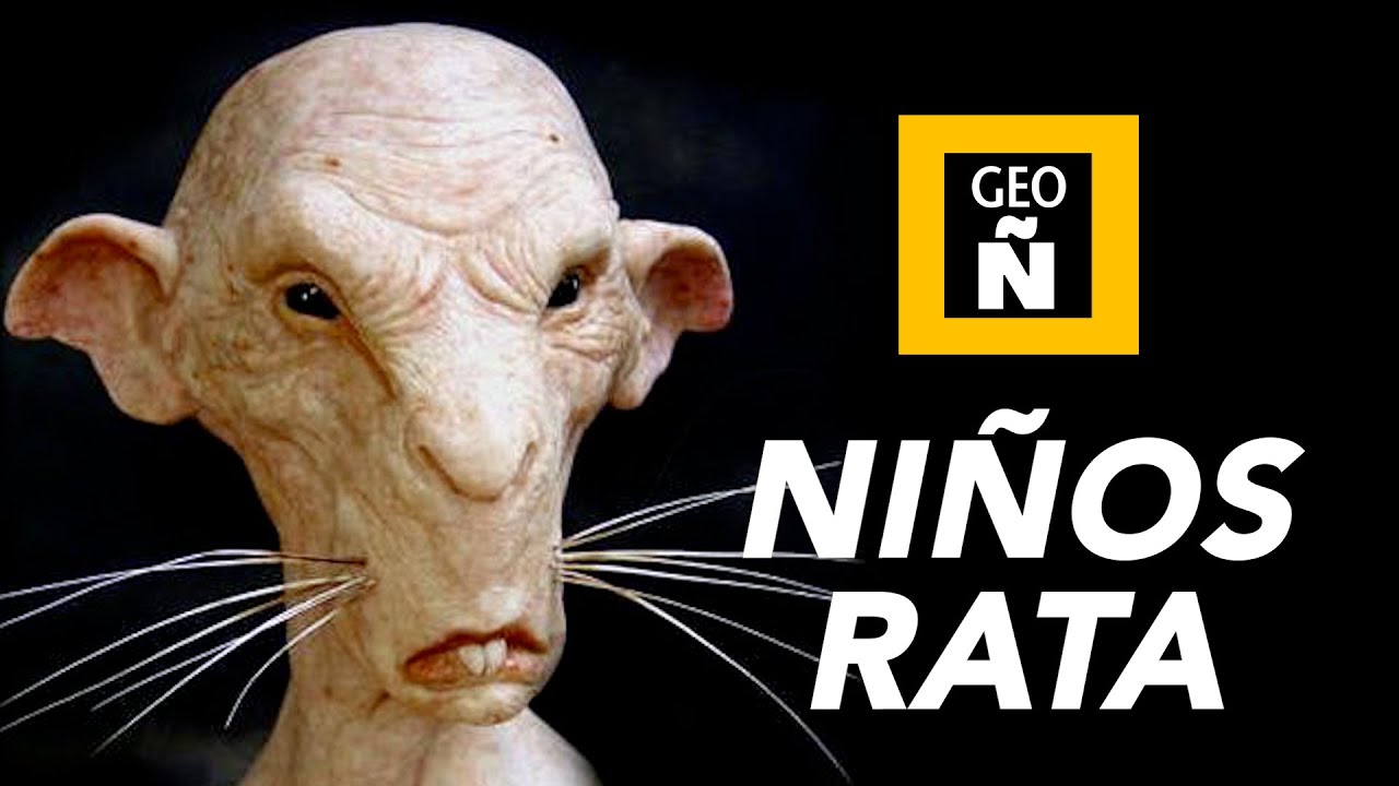 GEOGRAFÍA ÑERA I NIÑOS RATA - YouTube
