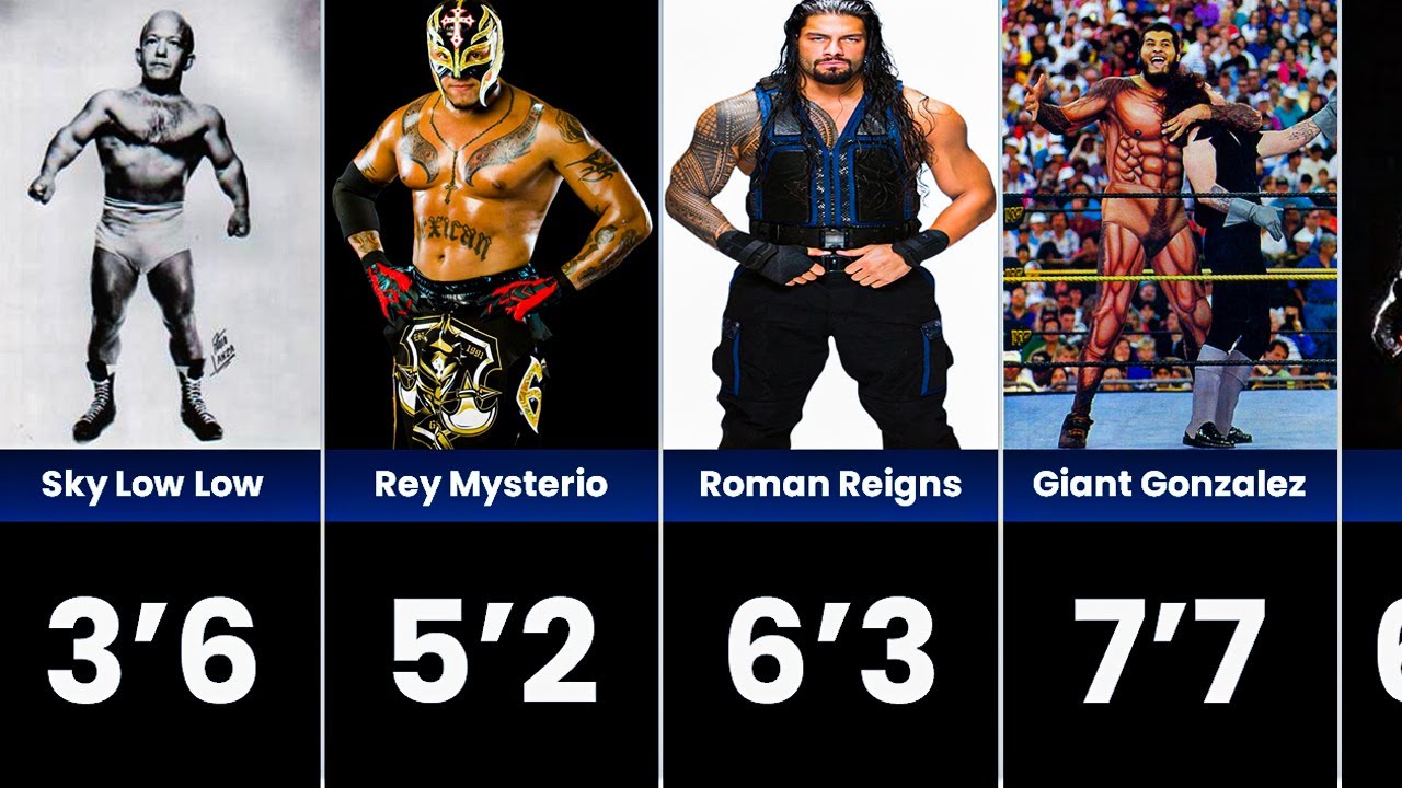 Superstars Height Comparison From Shortest To Tallest - YouTube