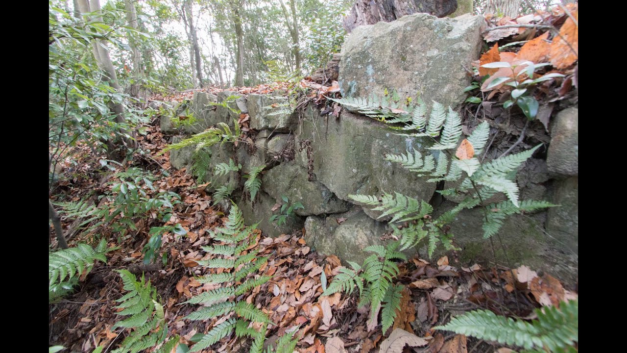 【4K】Sarukake Castle (Okayama) / 猿掛城 (岡山) - YouTube