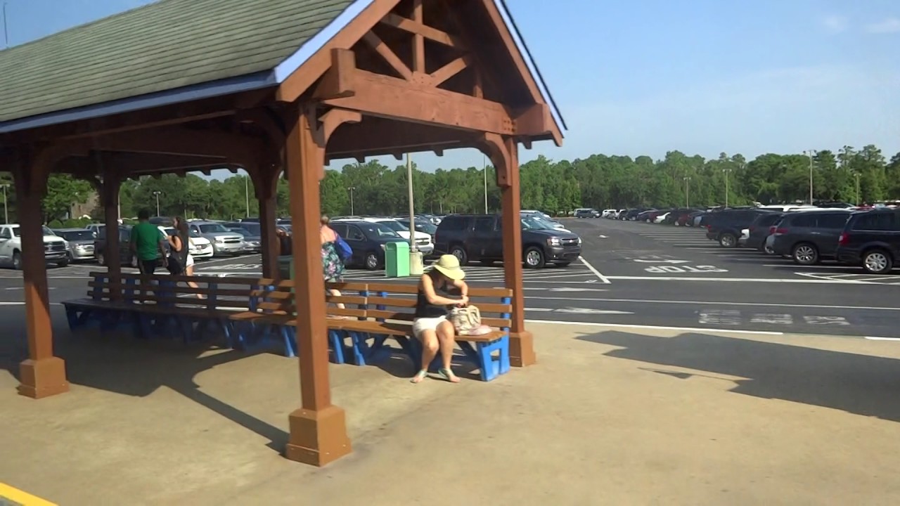 On-board Walt Disney World Transport Gillig #5122 - Grand Floridian to ...