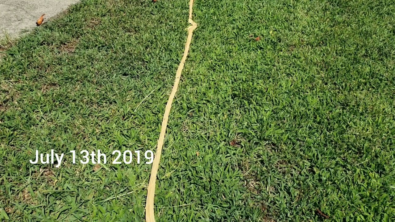 July 11th 2019 Close Lightning Strike Aftermath - YouTube