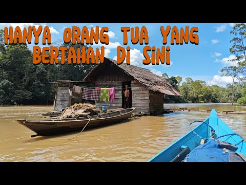 Kehidupan Kampung Dayak Yang Hanya dihuni 2 Keluarga Saja. Pedalaman Sungai Teweh, Kalimantan Tengah